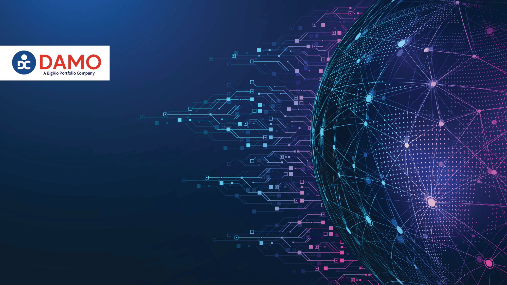 Damo helps large regional health system with vendor selection for API ...