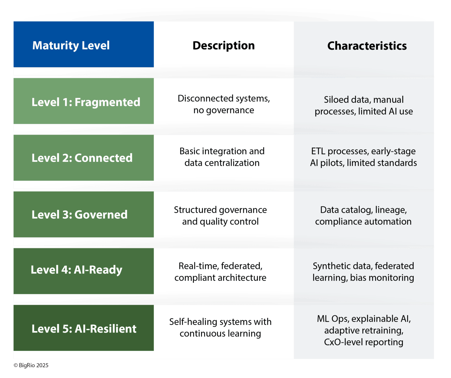 The Silent Barrier to AI in Healthcare is Data Infrastructure: A BigRio ...