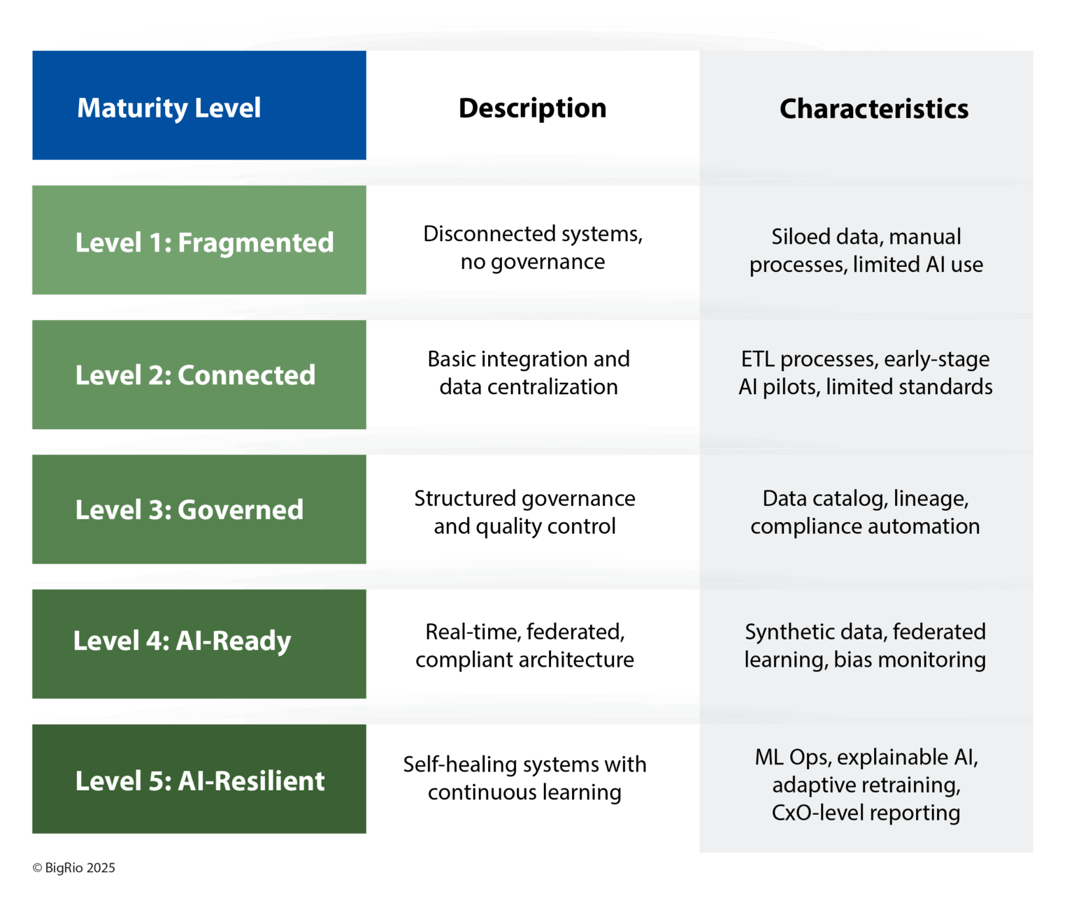 The Silent Barrier to AI in Healthcare is Data Infrastructure: A BigRio ...