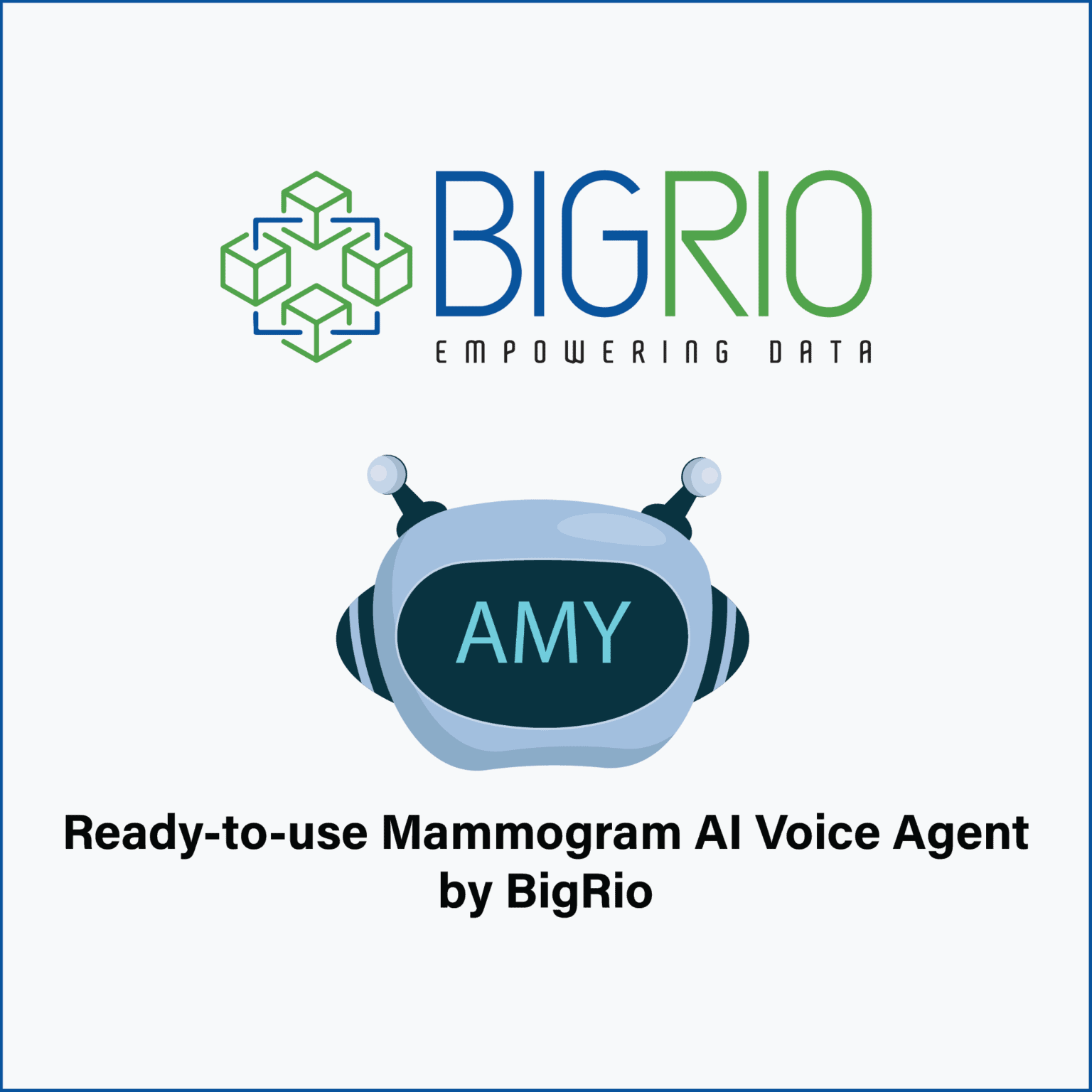 BigRio: Your Partner to Accelerate Digital Transformation & Innovation